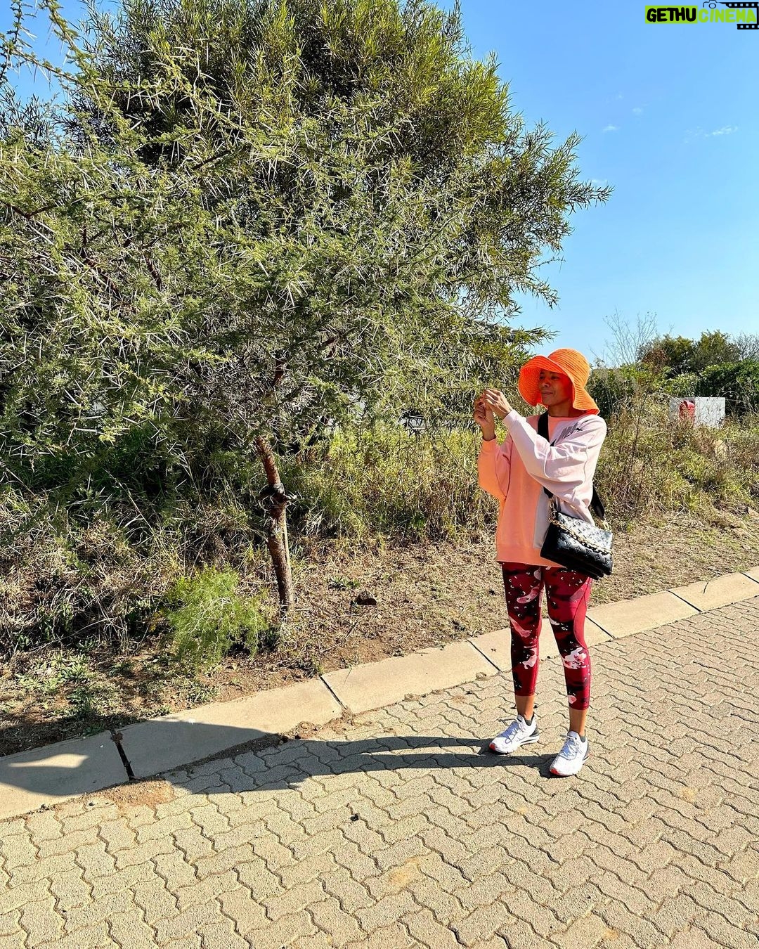 Actress Connie Ferguson HD Instagram Photos and Wallpapers July 2023 ...