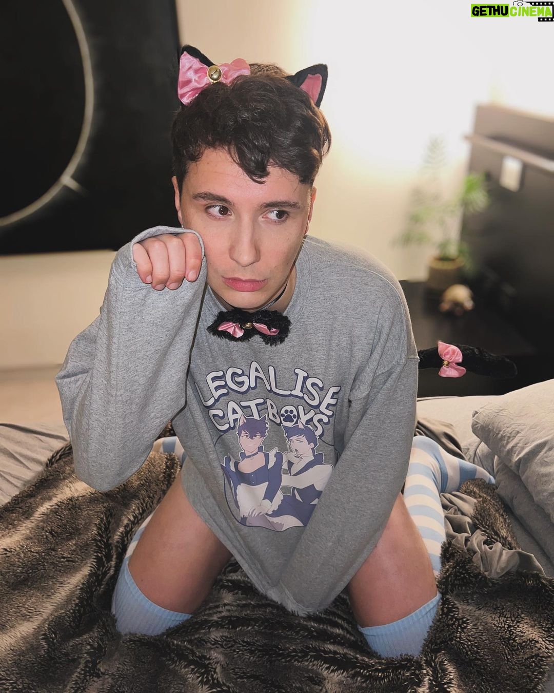 Daniel Howell Instagram – LEGALISE CATBOYS sweater available now ...