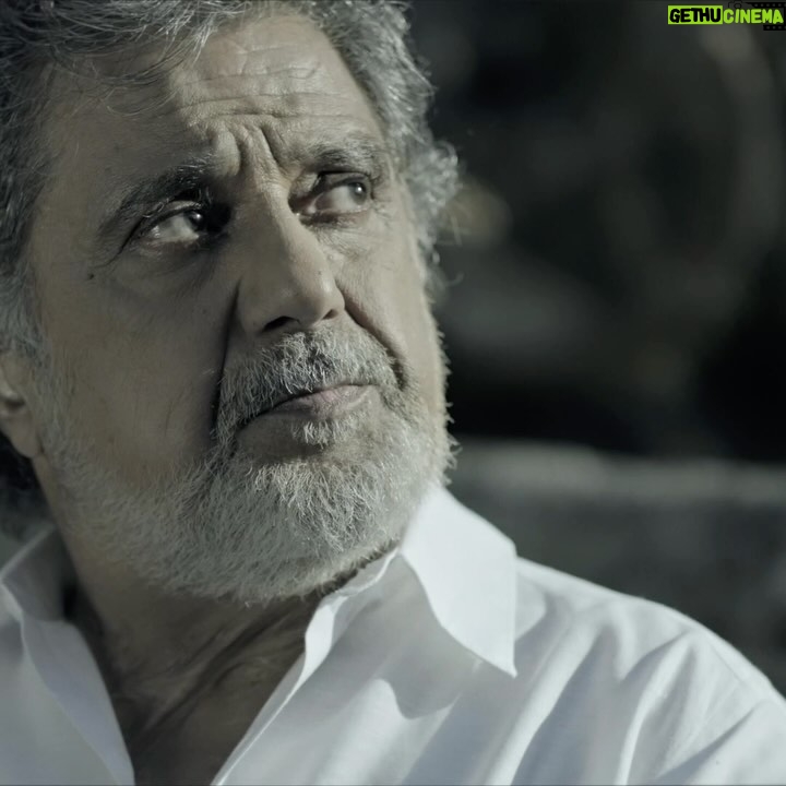 Dariush Eghbali Instagram – . گرگ‌ها همراه و انسان‌ها غریب، با که باید گفت این حال عجیب؟ گرگ ...