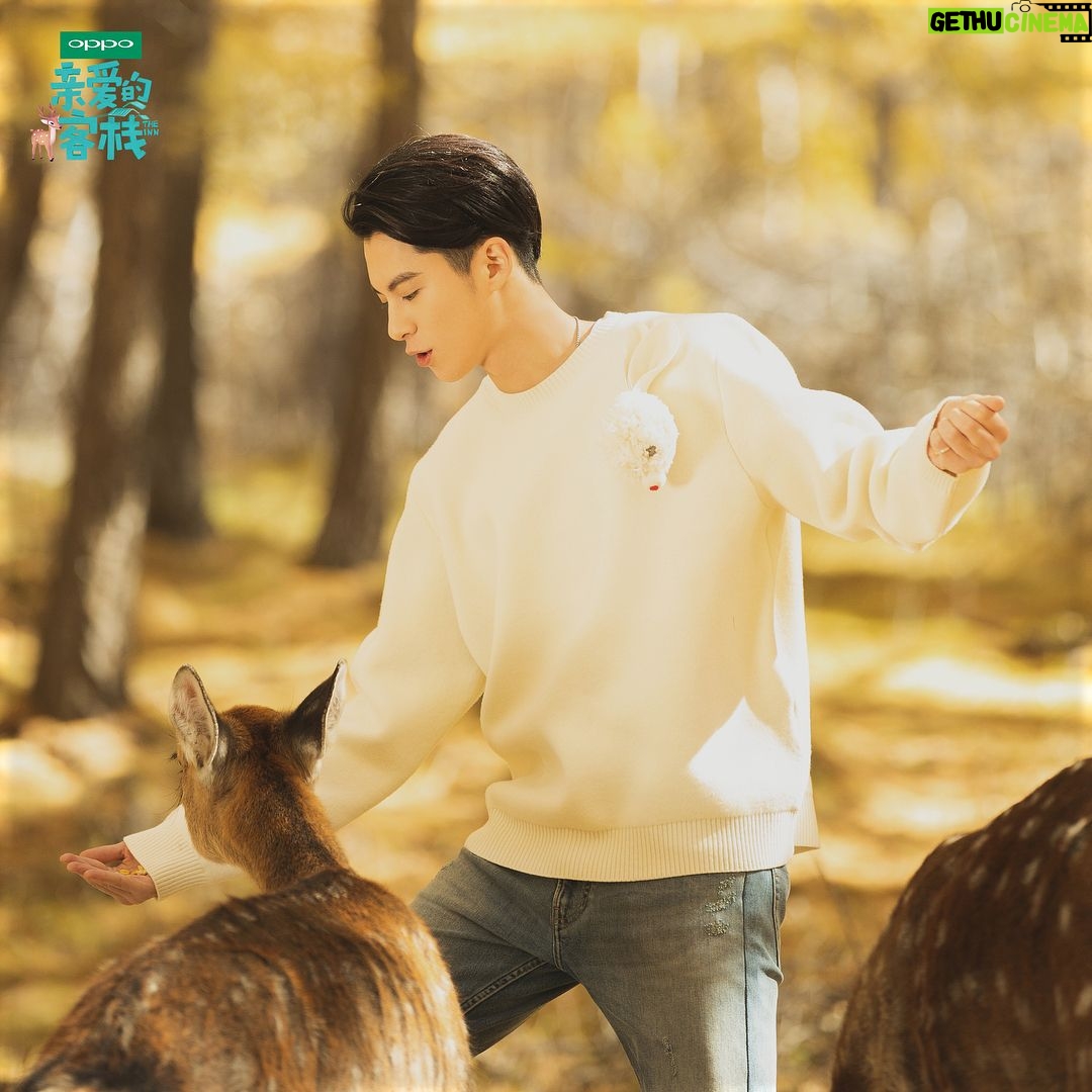 Dylan Wang Instagram – 开始打工之旅 | Gethu Cinema