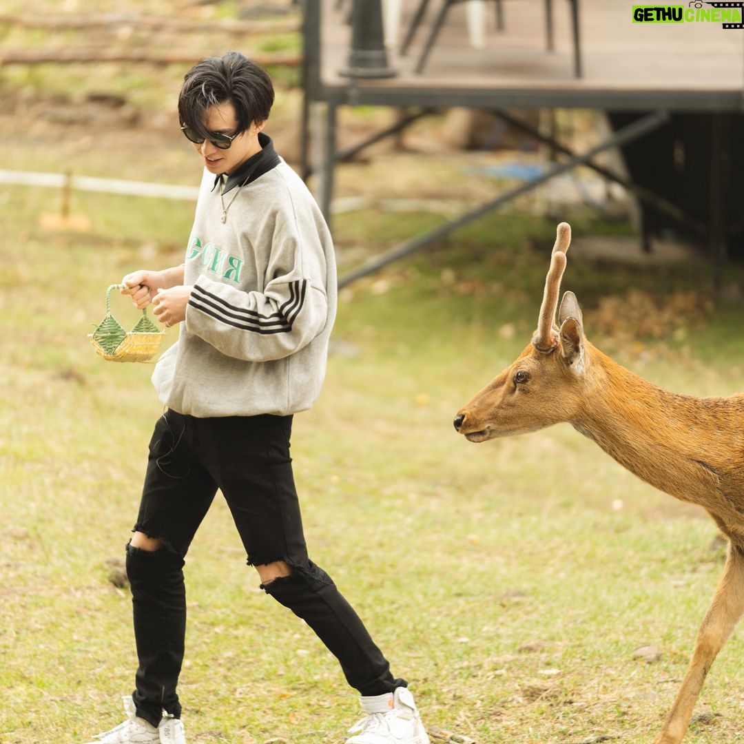 Dylan Wang Instagram – 开始打工之旅 | Gethu Cinema