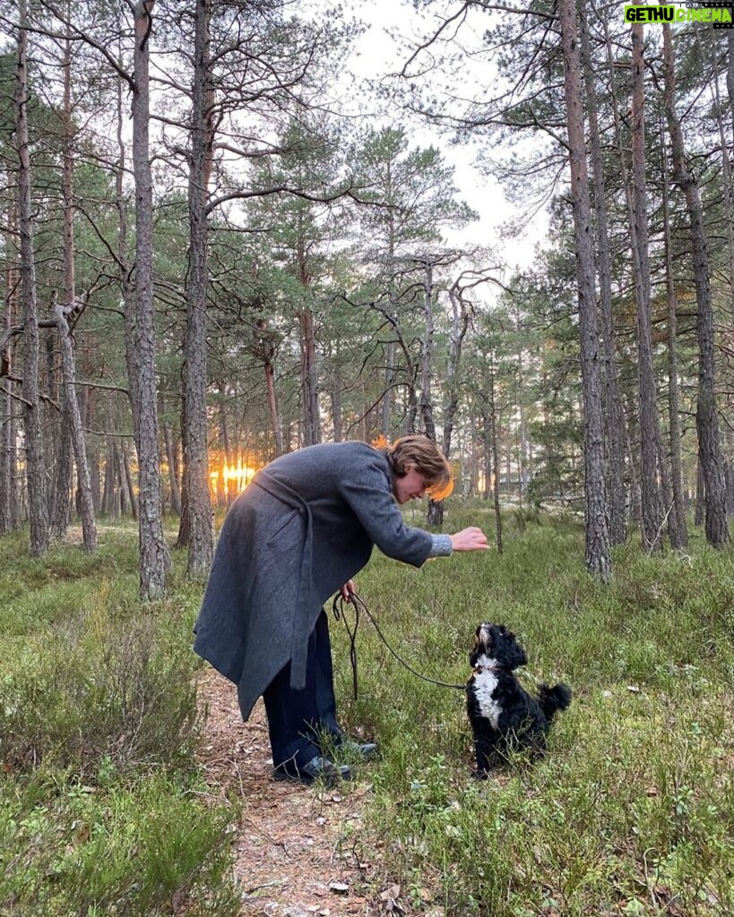 Actor Edvin Ryding HD Instagram Photos and Wallpapers December 2021 ...