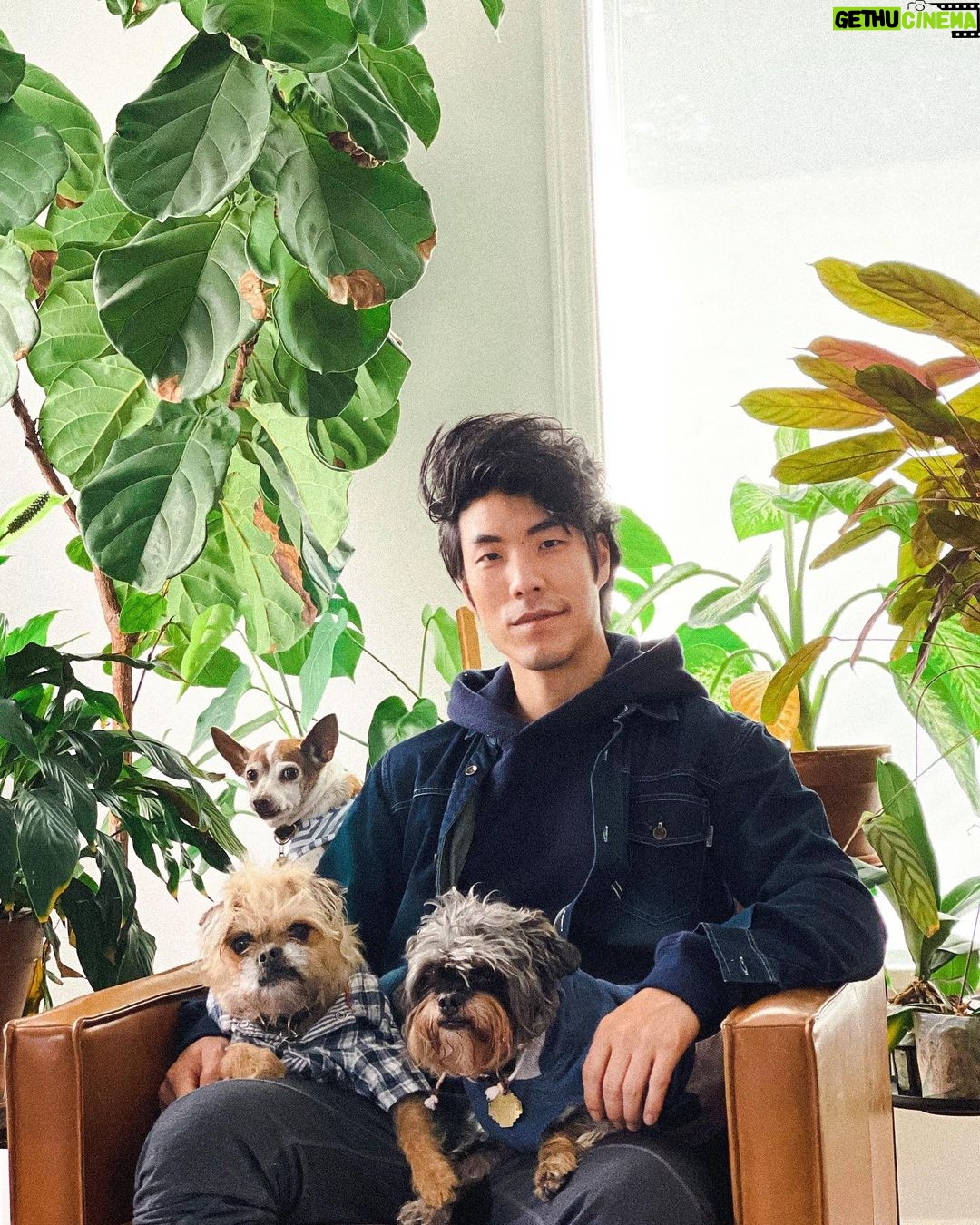 Actor Eugene Lee Yang HD Instagram Photos and Wallpapers April 2022 ...