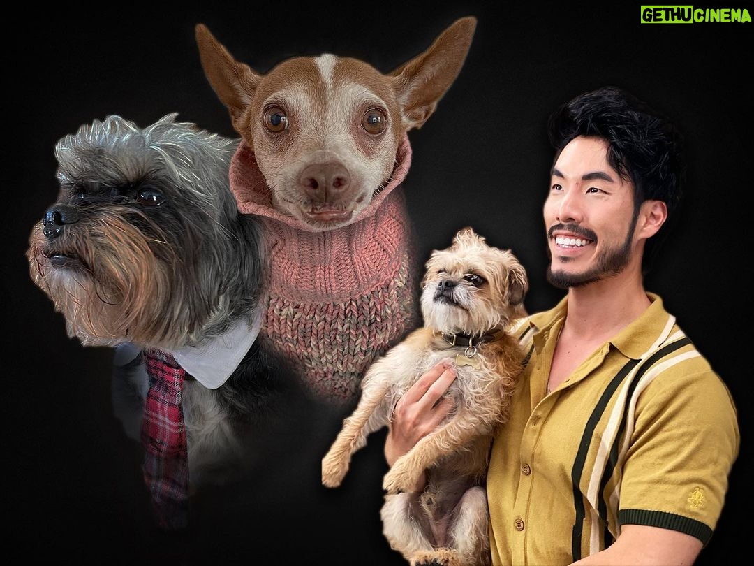 Eugene Lee Yang Instagram – a flawless family photo | Gethu Cinema