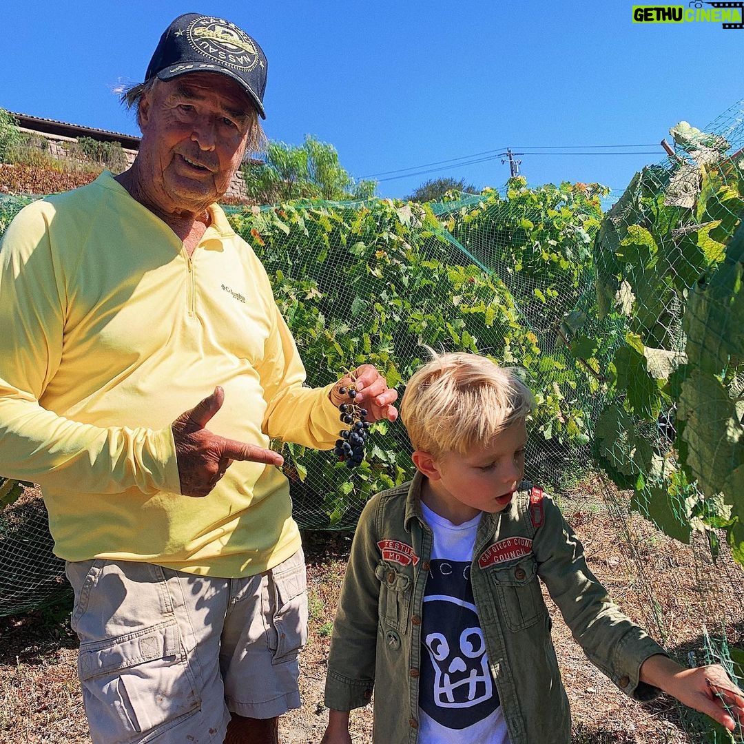 Fergie Instagram – Harvest 2019 at @FergusonCrest | Gethu Cinema