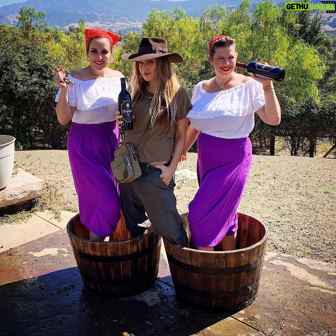 Fergie Instagram – Harvest 2019 at @FergusonCrest | Gethu Cinema
