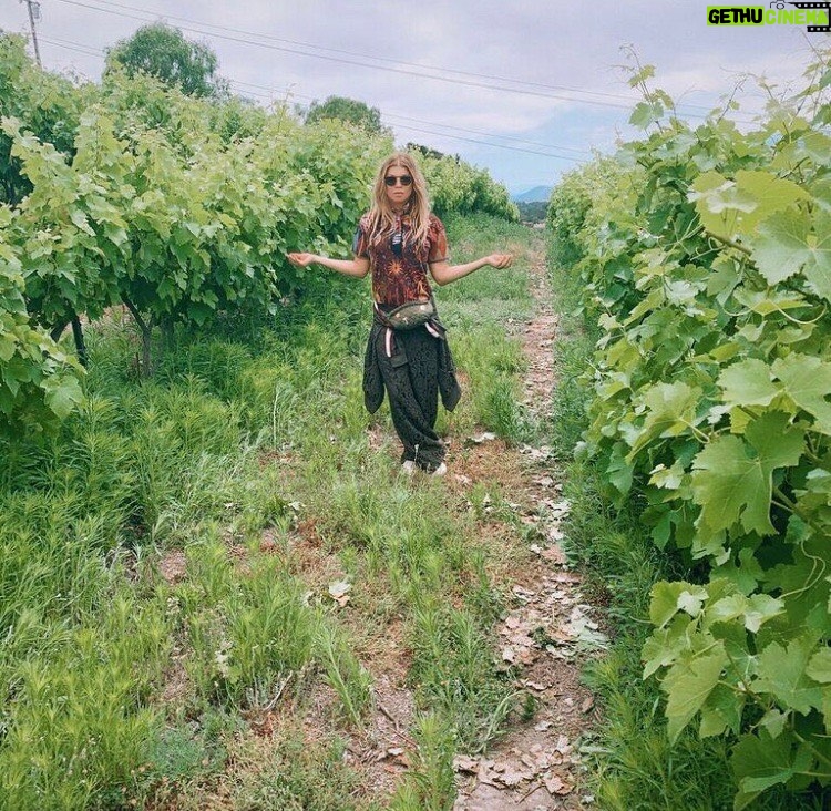 Fergie Instagram – 🍇🍇 | Gethu Cinema