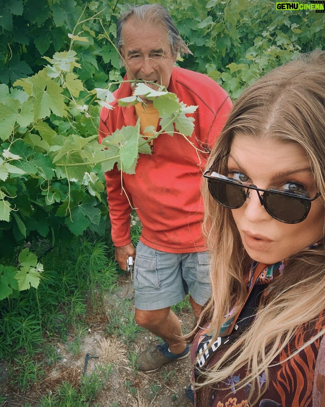 Fergie Instagram – Checking up on the boss man @FergusonCrest ...