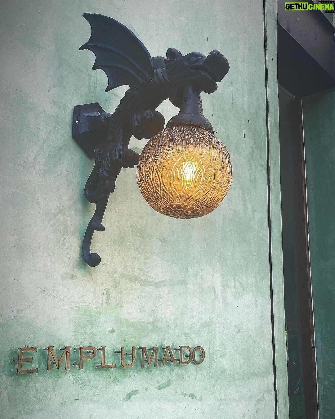 Fernanda Castillo Instagram – Mérida Express Gracias @verodiazmx ...