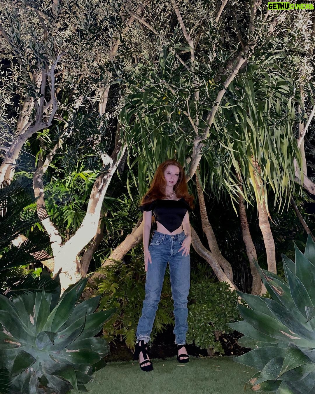 Francesca Capaldi Instagram – Welcome to the jungle 🖤 | Gethu Cinema