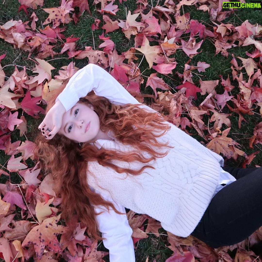 Francesca Capaldi Instagram – Happy Thanksgiving! I am so thankful for ...