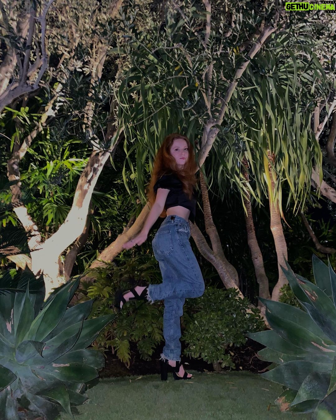 Francesca Capaldi Instagram – Welcome to the jungle 🖤 | Gethu Cinema