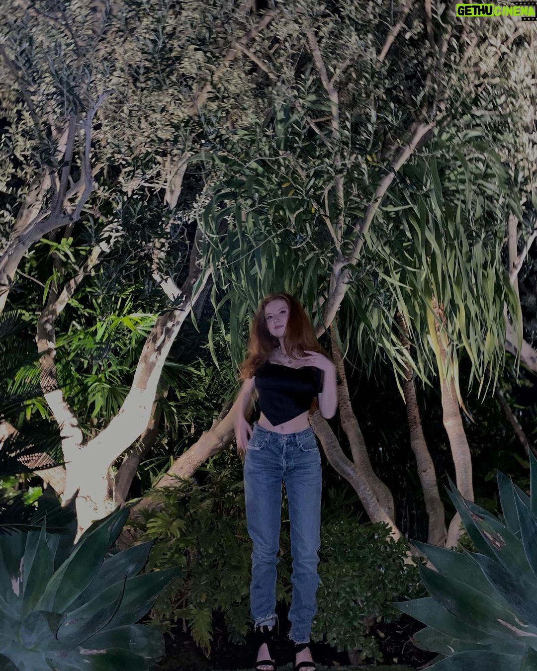Francesca Capaldi Instagram – Welcome to the jungle 🖤 | Gethu Cinema