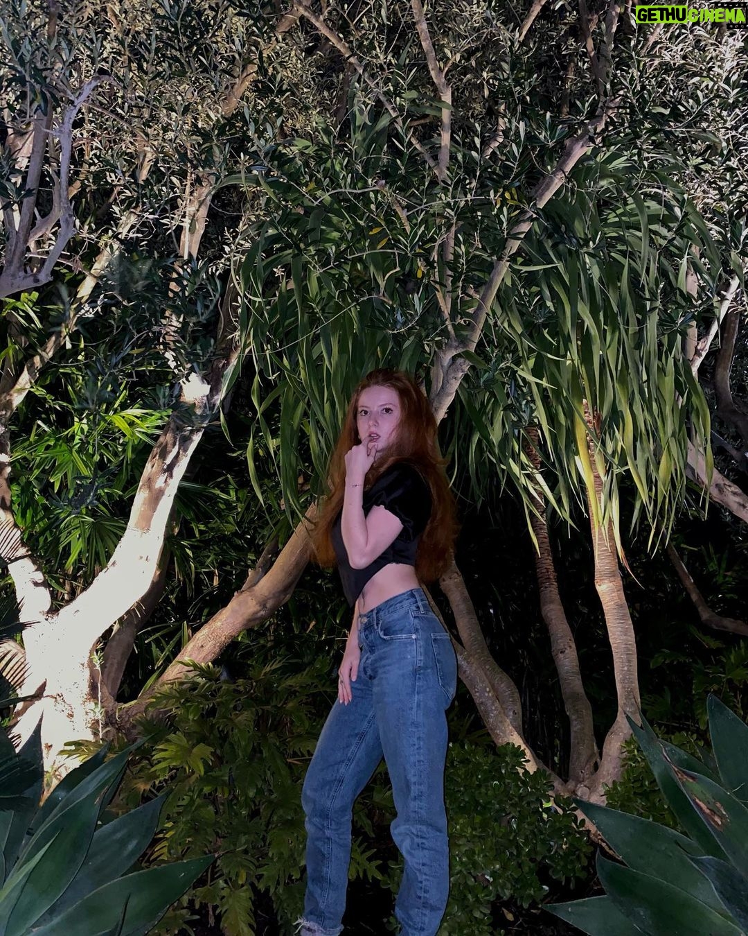 Francesca Capaldi Instagram – Welcome to the jungle 🖤 | Gethu Cinema