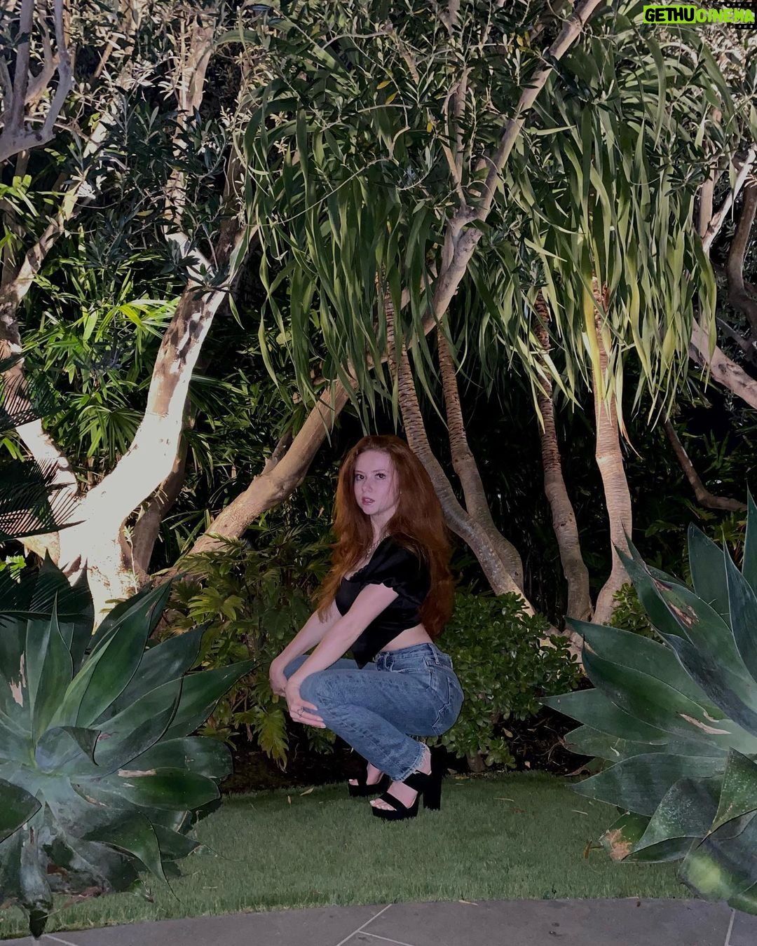 Francesca Capaldi Instagram – Welcome to the jungle 🖤 | Gethu Cinema