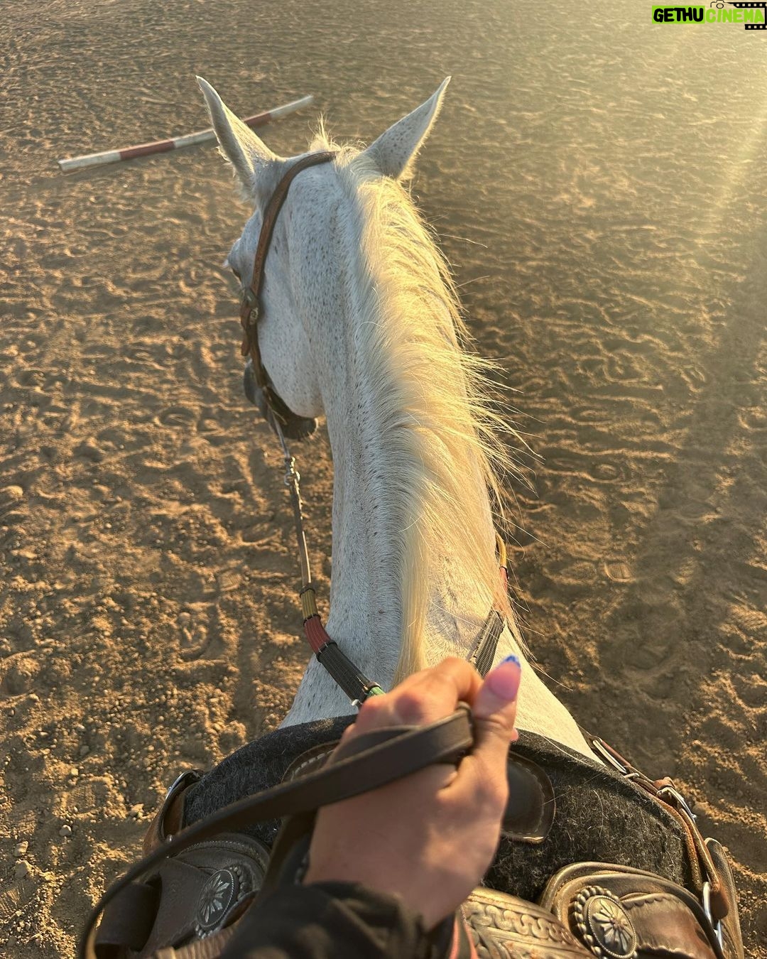 Gabi Butler Instagram – giddy up cowboy 🐎🌵🔥 | Gethu Cinema