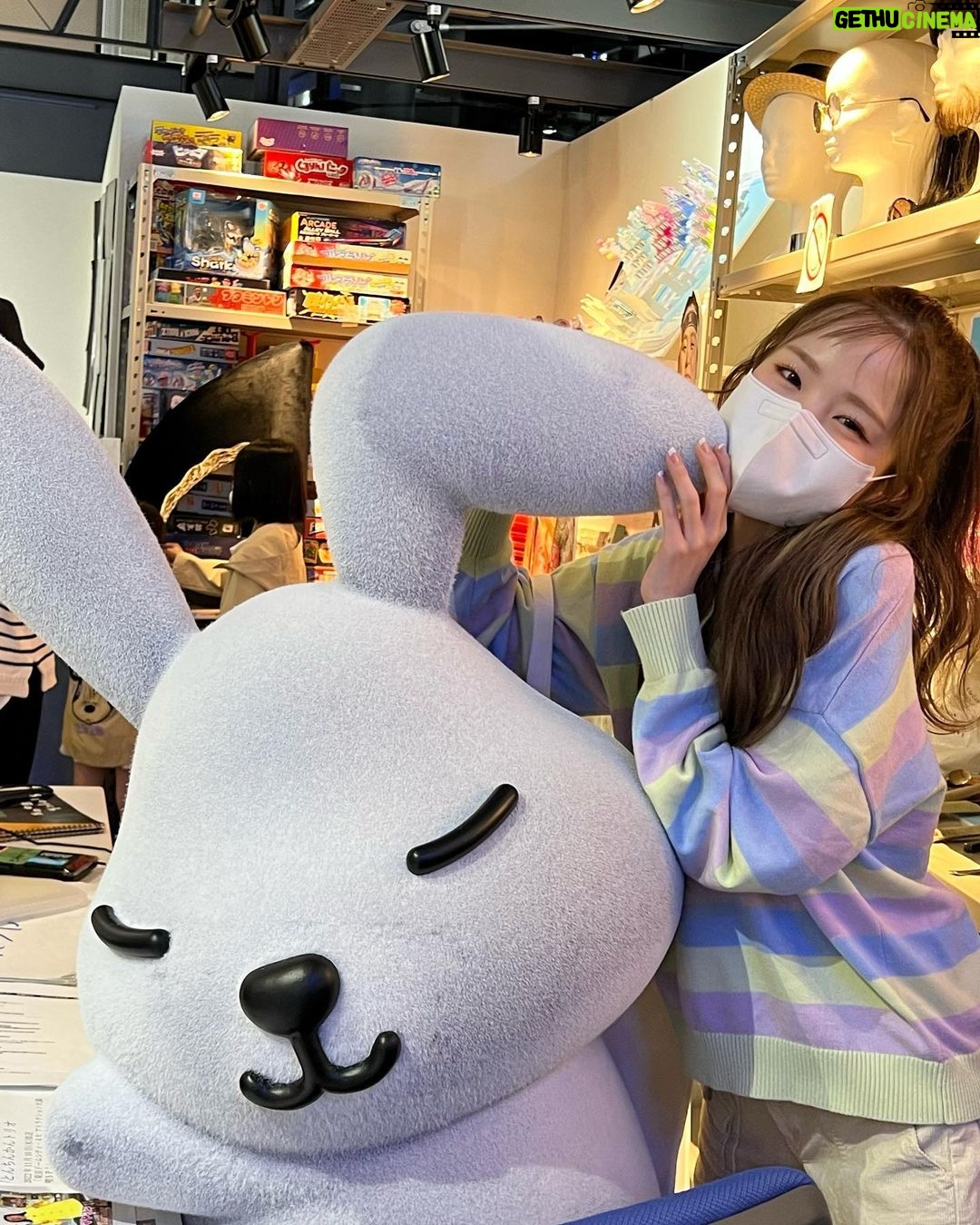 Hitomi Honda Instagram – . ラヴィットミュージアム行ってきました🐰🎪 私のサインもぜひ探してみてください 🏻💨 ...