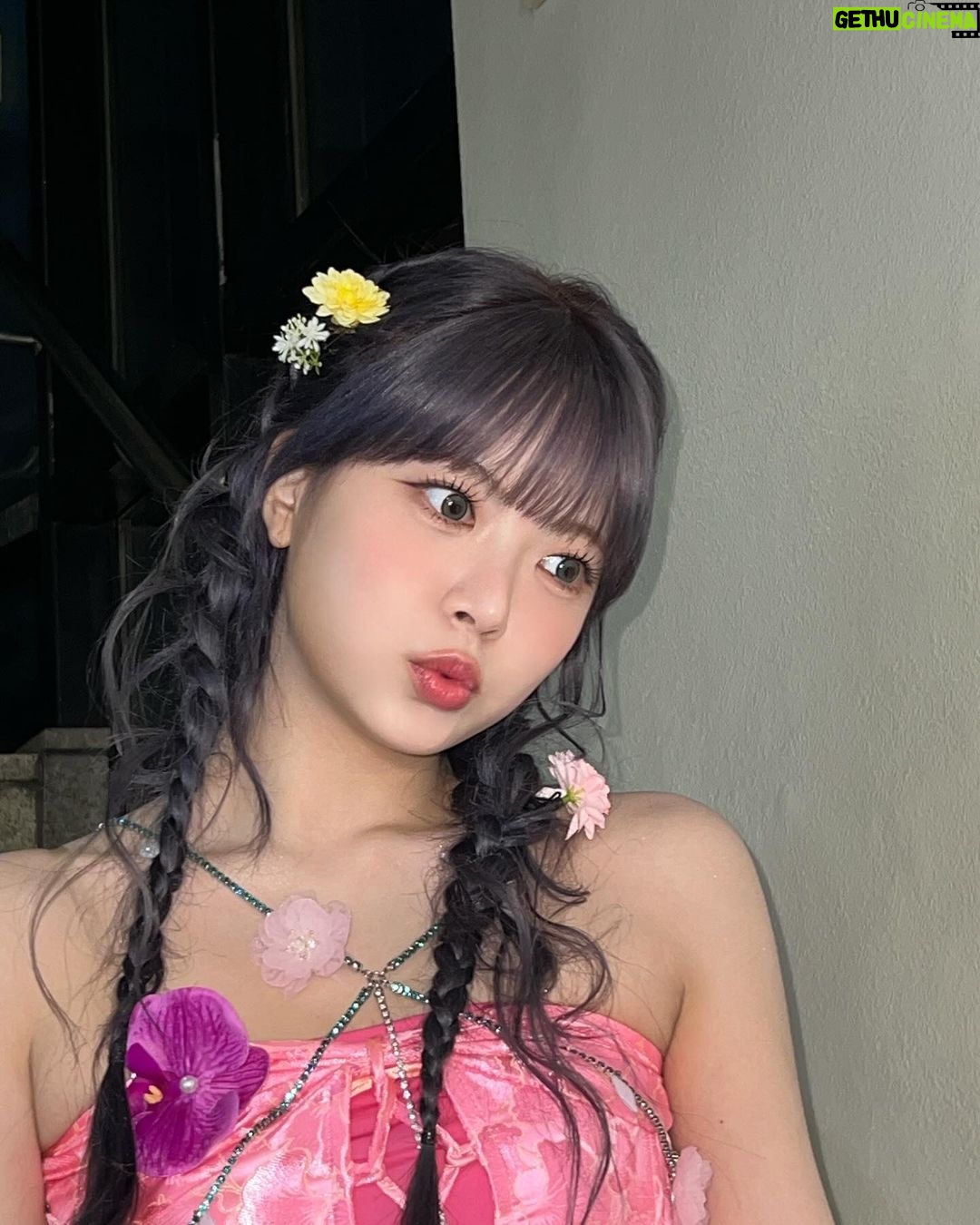 Hong Eun-chae Instagram – 💐🌼🌸💐 | Gethu Cinema