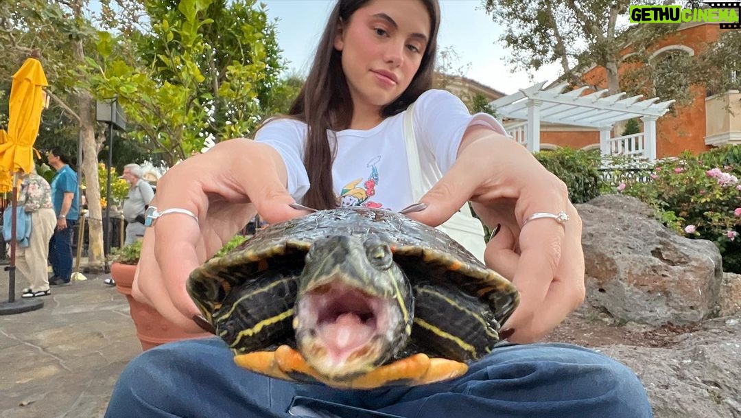 Jack Dylan Grazer Instagram – Draconian Pedagogues Resist Opprobrious ...