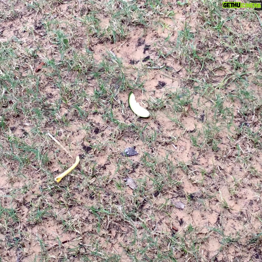 James May Instagram – Bunner did not appear today, despite offer of ...