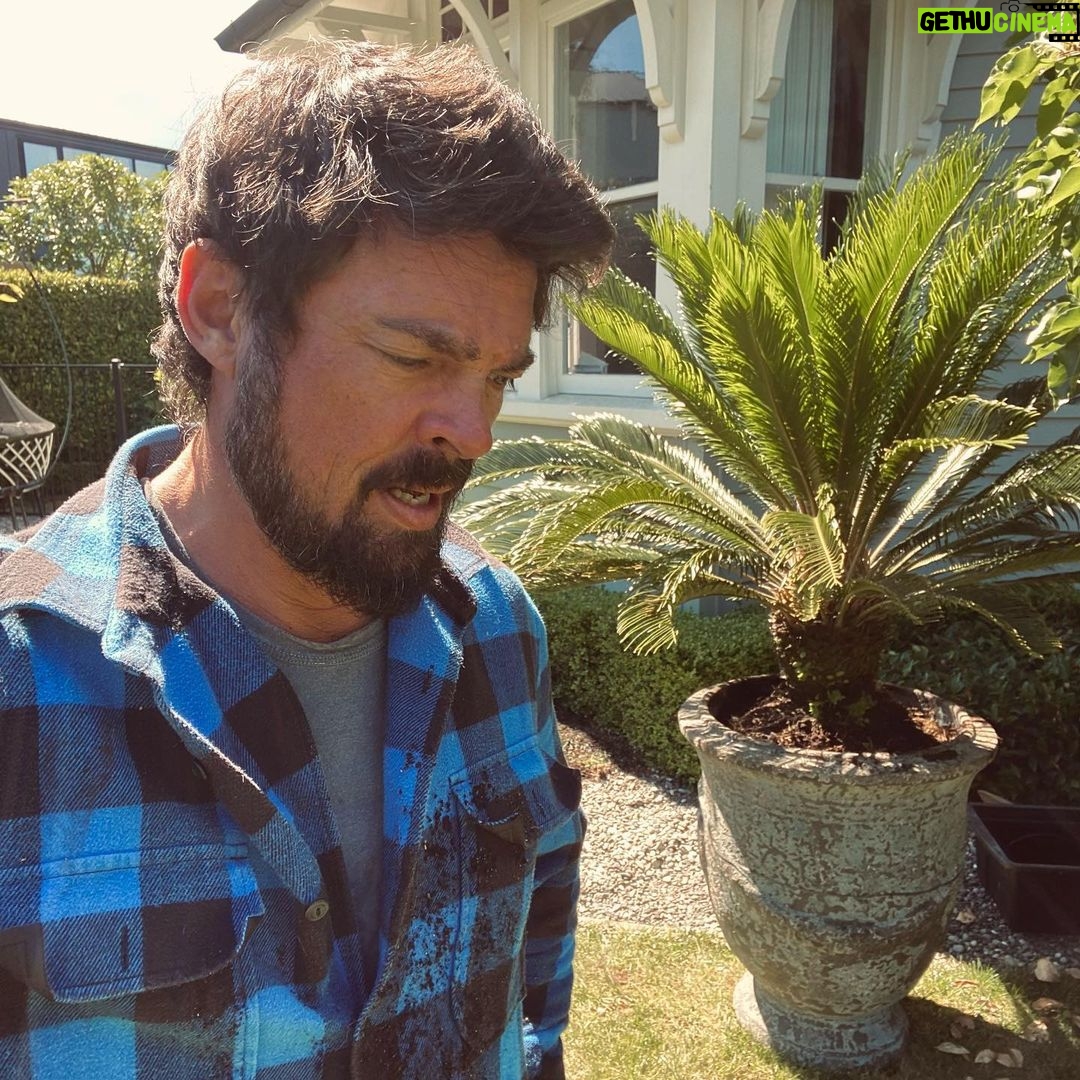 Karl Urban Instagram – Repotted that beast ….shattered 🤪 Happy new year ...