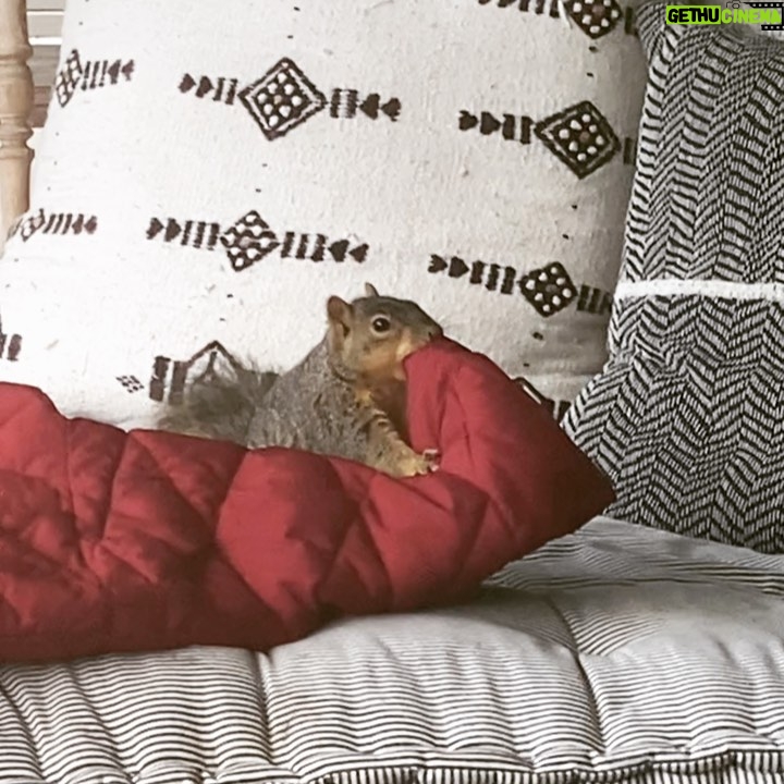 Kat Dennings Instagram – be true to yourself | Gethu Cinema