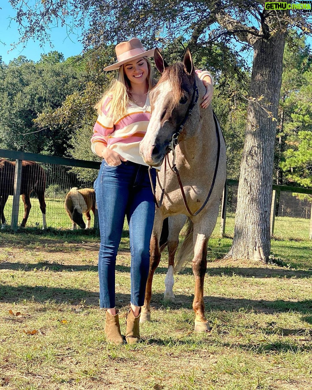 Kate Upton Instagram – Say hello to Daisy 🐴😍 | Gethu Cinema
