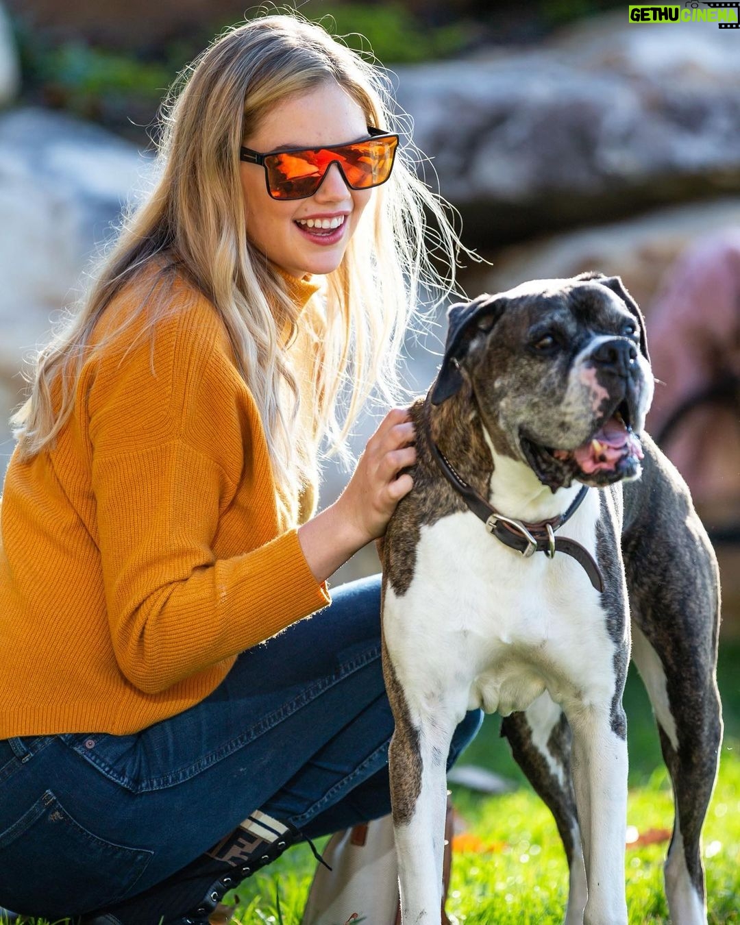 Kate Upton Instagram – Harley always brightens my day 😍 | Gethu Cinema