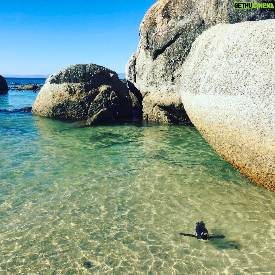 Kaya Scodelario Instagram – 🐧 Boulders Beach, Simonstown – South Africa ...