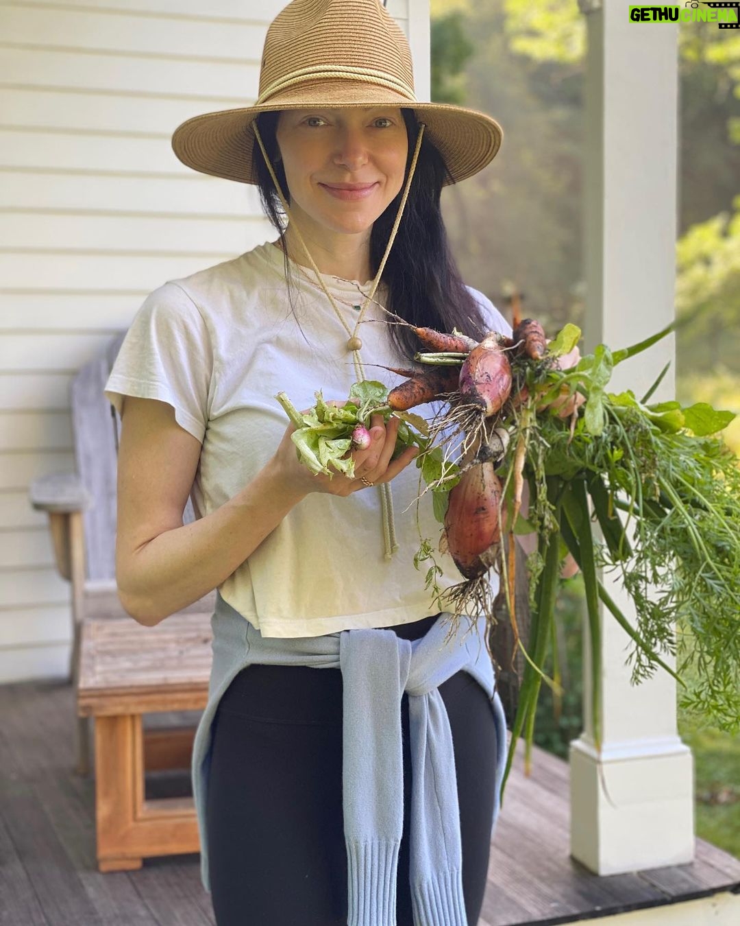 Laura Prepon Instagram – Fresh veggies from the garden. One of my happy ...