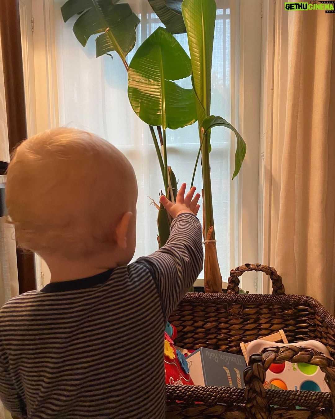 Laura Prepon Instagram – New growth! We are all excited about Plant’s ...