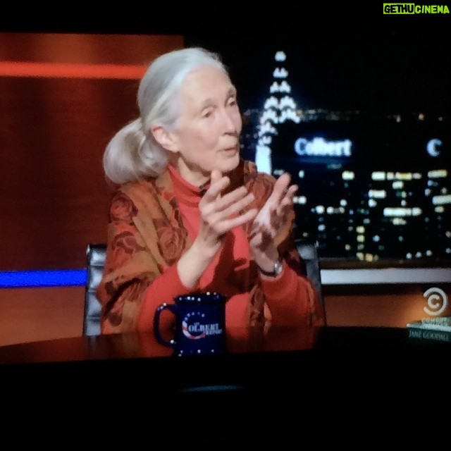 Leighton Meester Instagram – Jane Goodall-incredible, inspirational ...