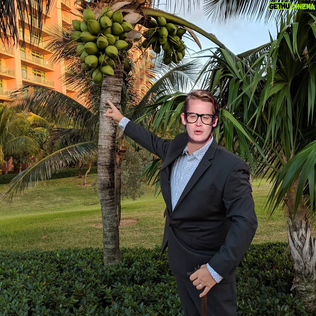 Macaulay Culkin Instagram – Coconuts. | Gethu Cinema