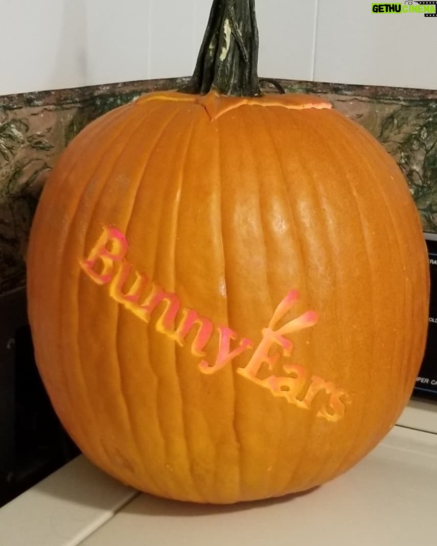 Macaulay Culkin Instagram – This is my pumpkin. There are many like it ...