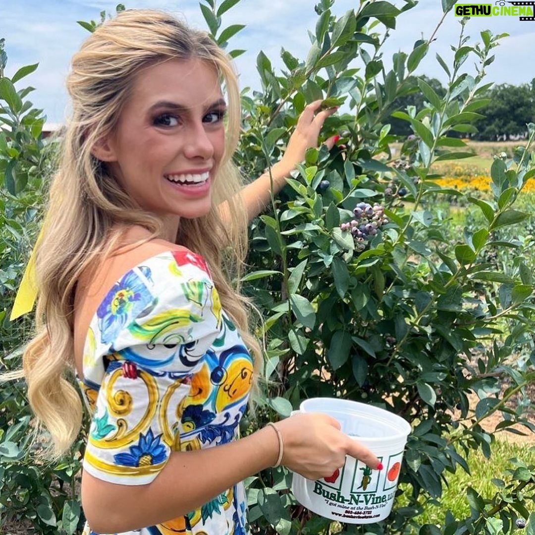 Madisyn Shipman Instagram – Summer means trips to the blueberry farm 🫐 ...