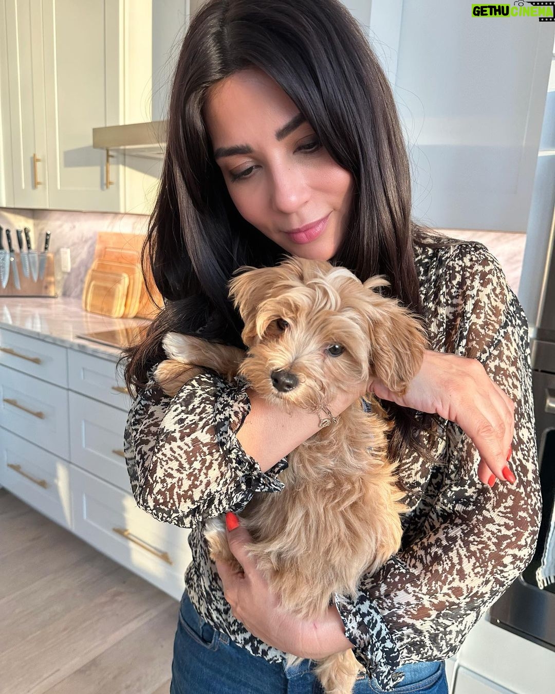 Marisol Nichols Instagram – Obsessed with my friend @nicole.tabs pup ...