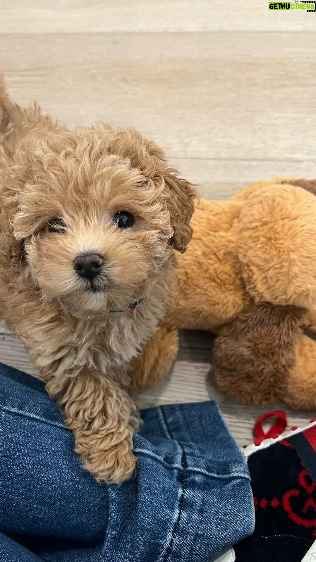Marisol Nichols Instagram – My squishy– the cuddles have been the best ...