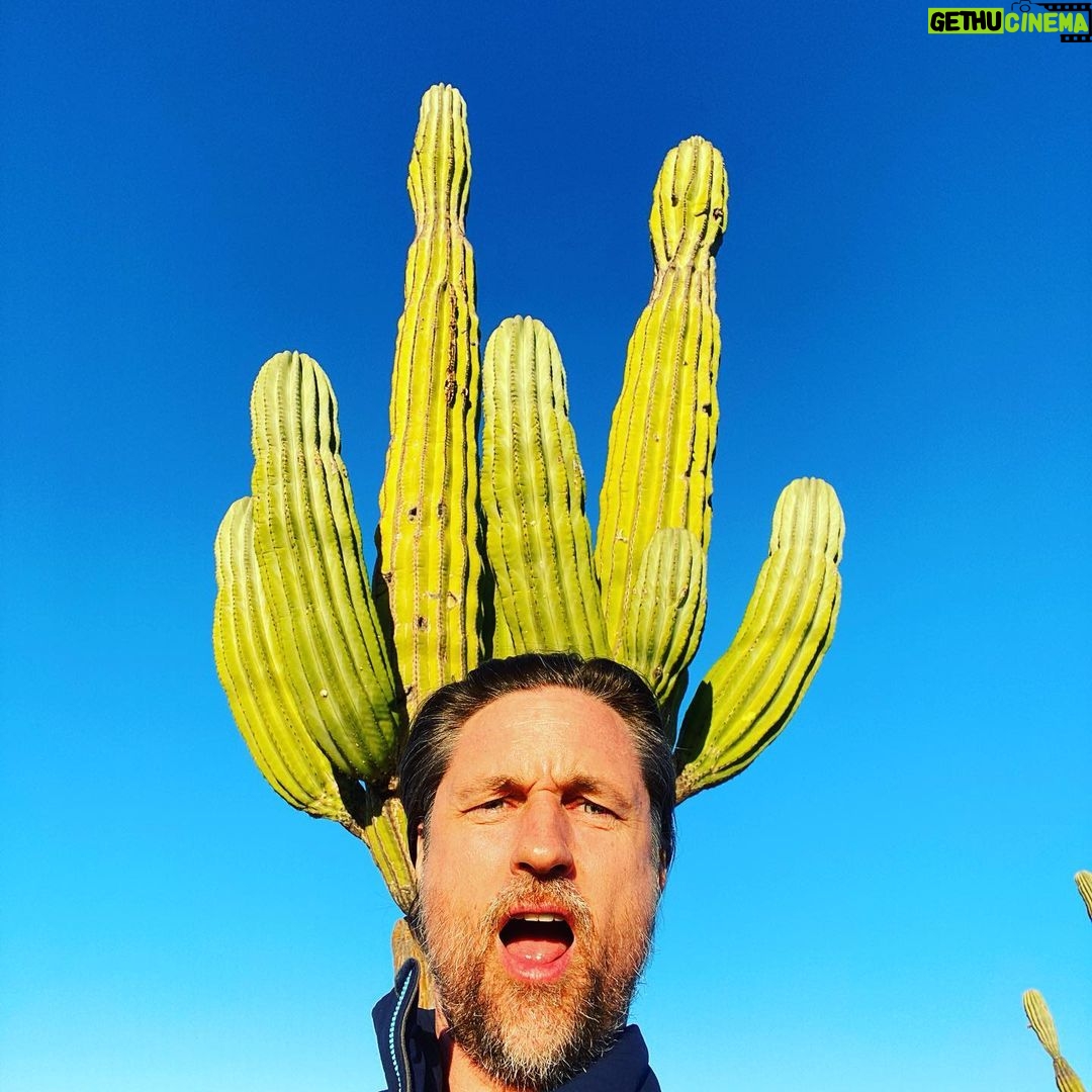 Martin Henderson Instagram – Cactus head #BajaCaliforniaSur #roadtrip # ...