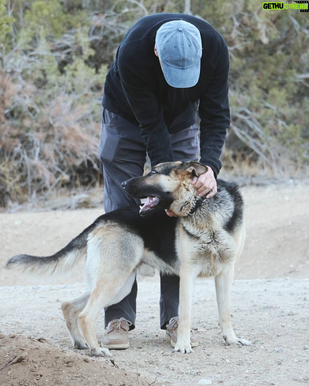 Matthew Daddario Instagram – Good dog. | Gethu Cinema