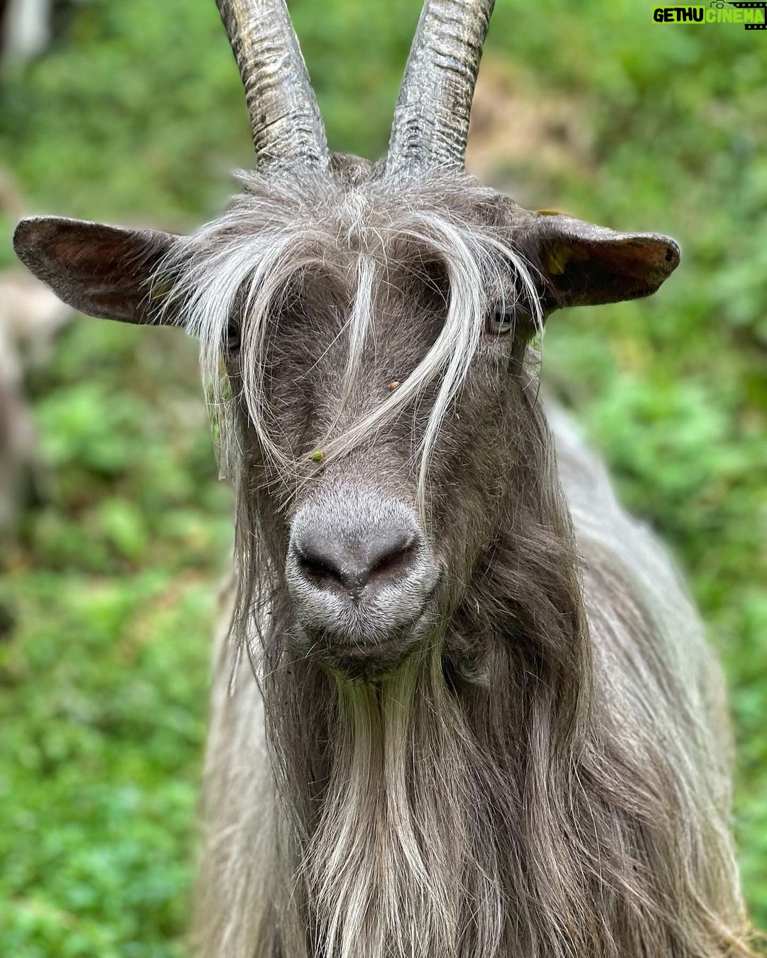 Michelle Hunziker Instagram – Oggi ho portato le girls ad una gita ...