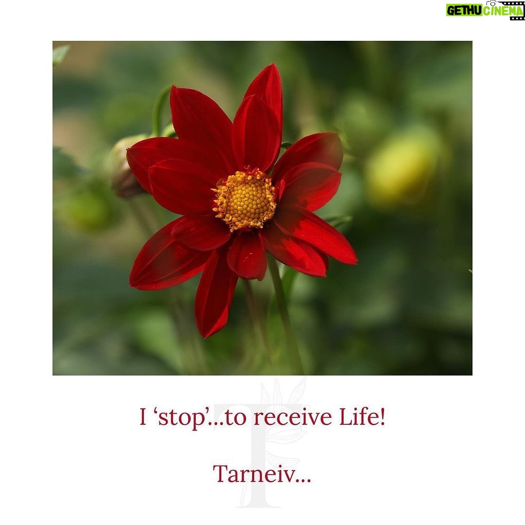 Mugdha Godse Instagram – Beautiful words by my beloved Master Tarneiv ...