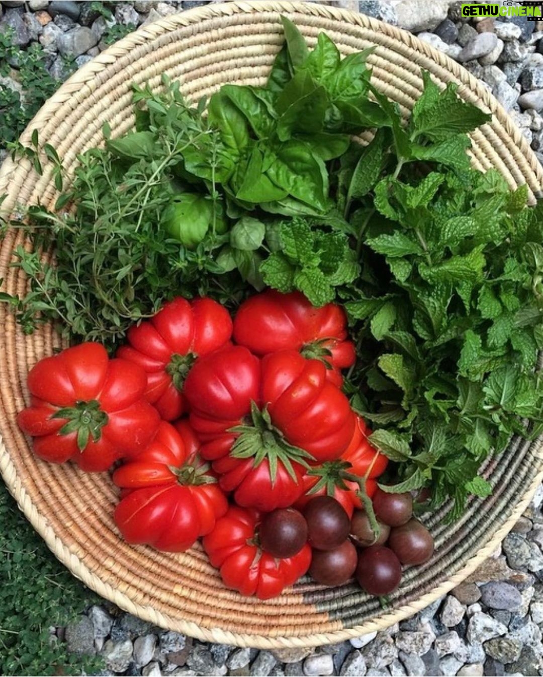 Nicole Richie Instagram – Ready to dance your ass off to music about ...