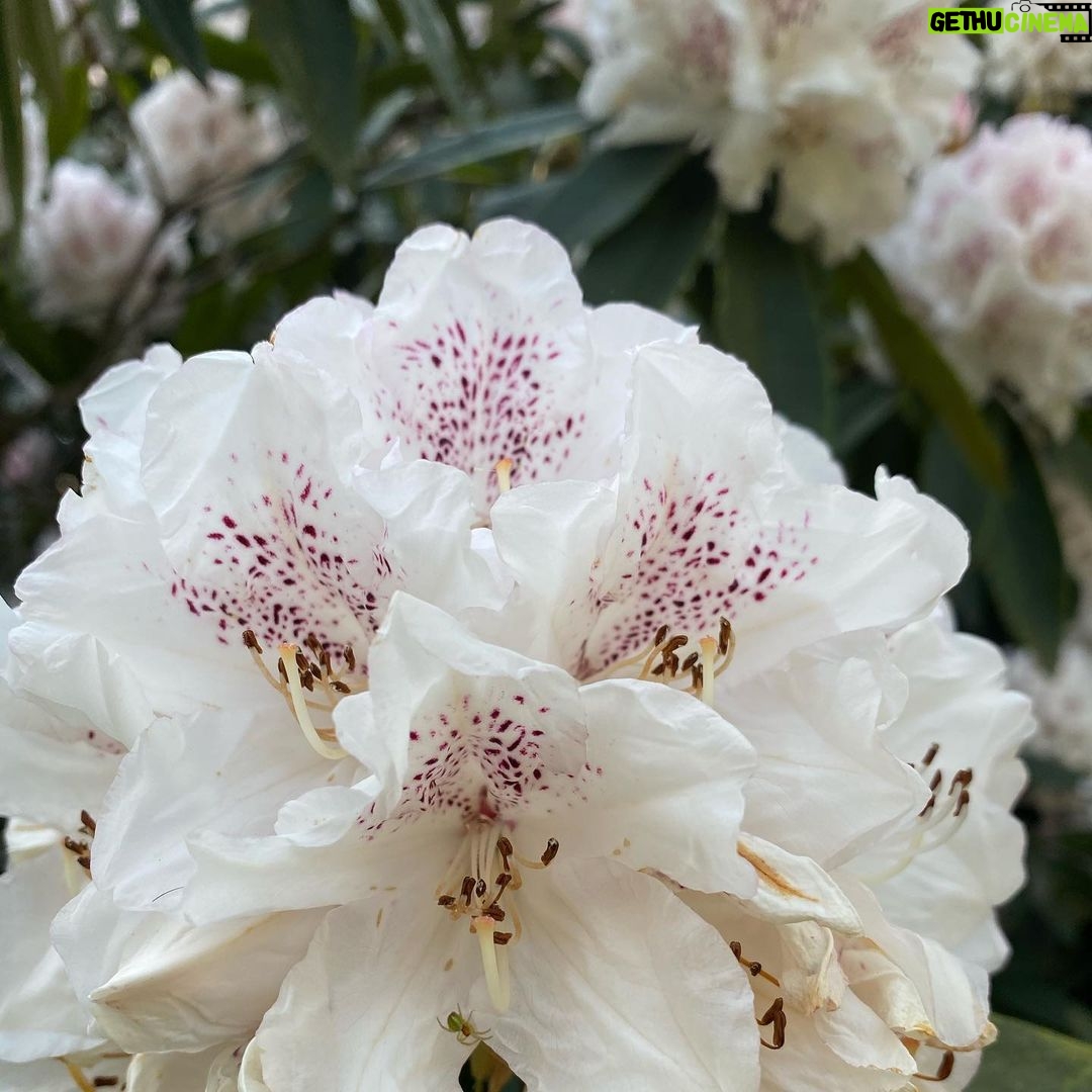 Princess Eugenie Instagram – Happy Easter 🐣 to you. ⁣ To quote Her ...