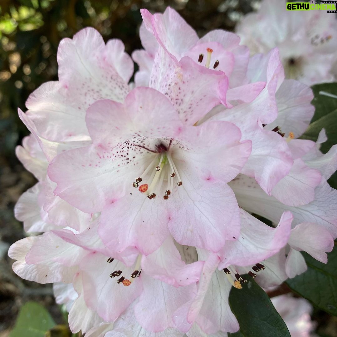 Princess Eugenie Instagram – Happy Easter 🐣 to you. ⁣ To quote Her ...