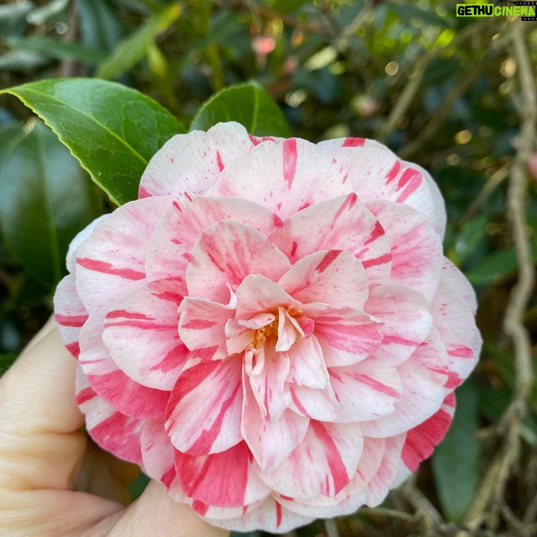 Princess Eugenie Instagram – Happy Easter 🐣 to you. ⁣ To quote Her ...