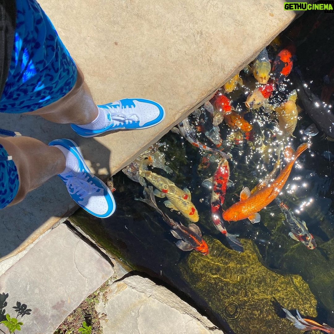 Rob Kardashian Instagram – That’s Life | Gethu Cinema