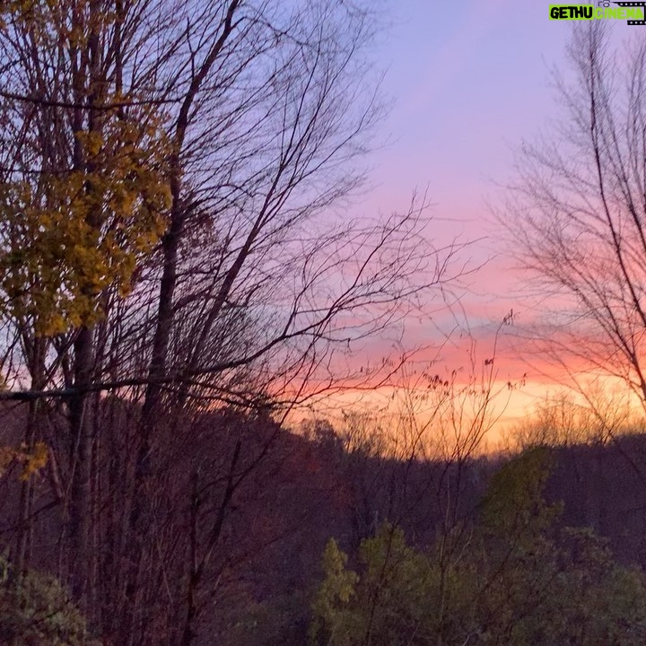 Rowan Blanchard Instagram – 🤮 ️ PS 75 Emily Dickinson | Gethu Cinema