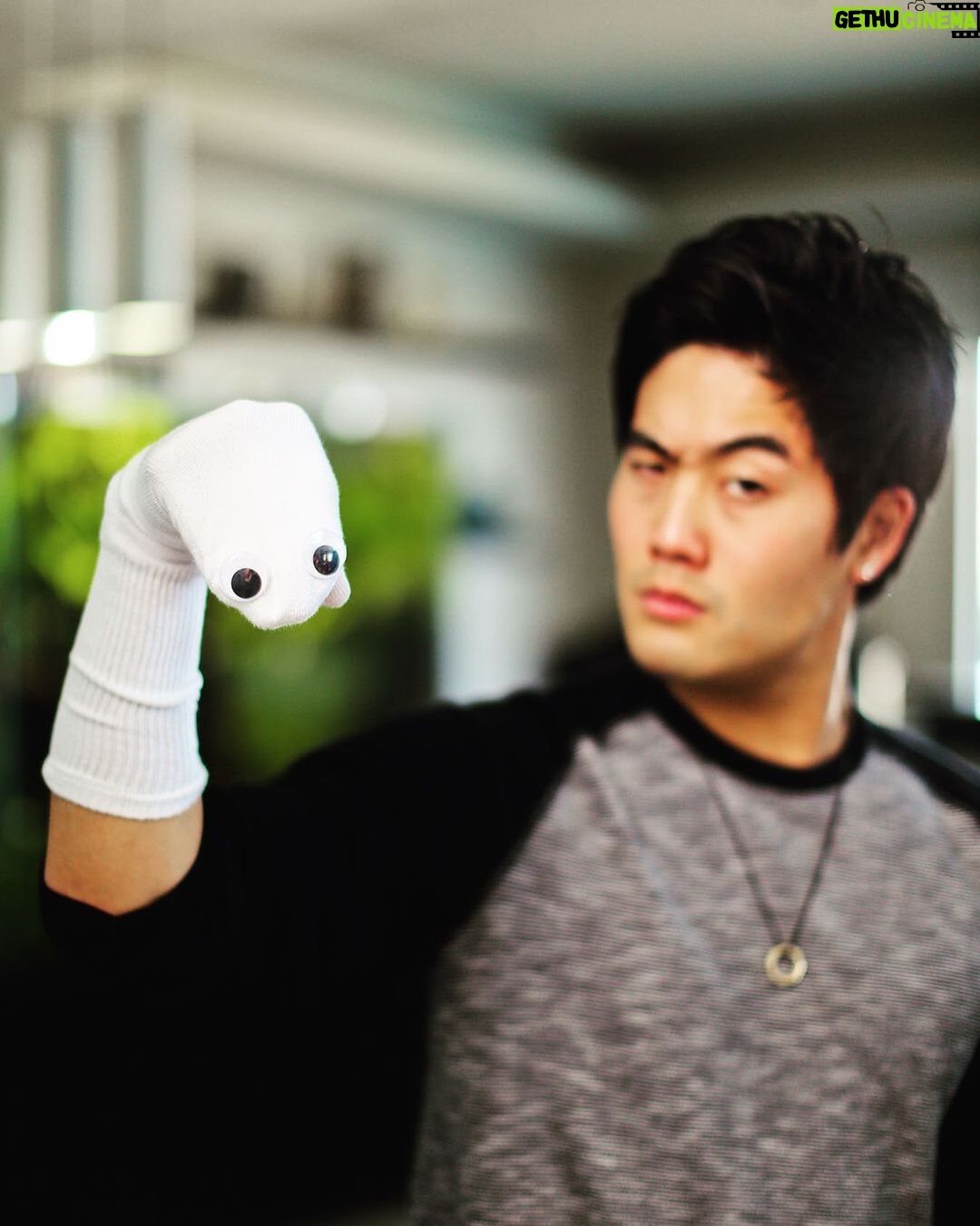 Ryan Higa Instagram – Some throwback Potter pal/Hilo puppet feels in ...