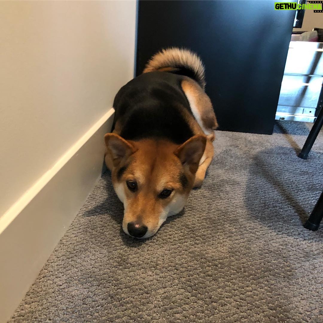 Ryan Higa Instagram – When you forget to pack your legs. 😩 | Gethu Cinema