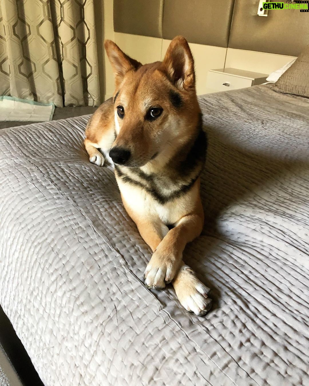 Ryan Higa Instagram – A proper boy 🙂 | Gethu Cinema